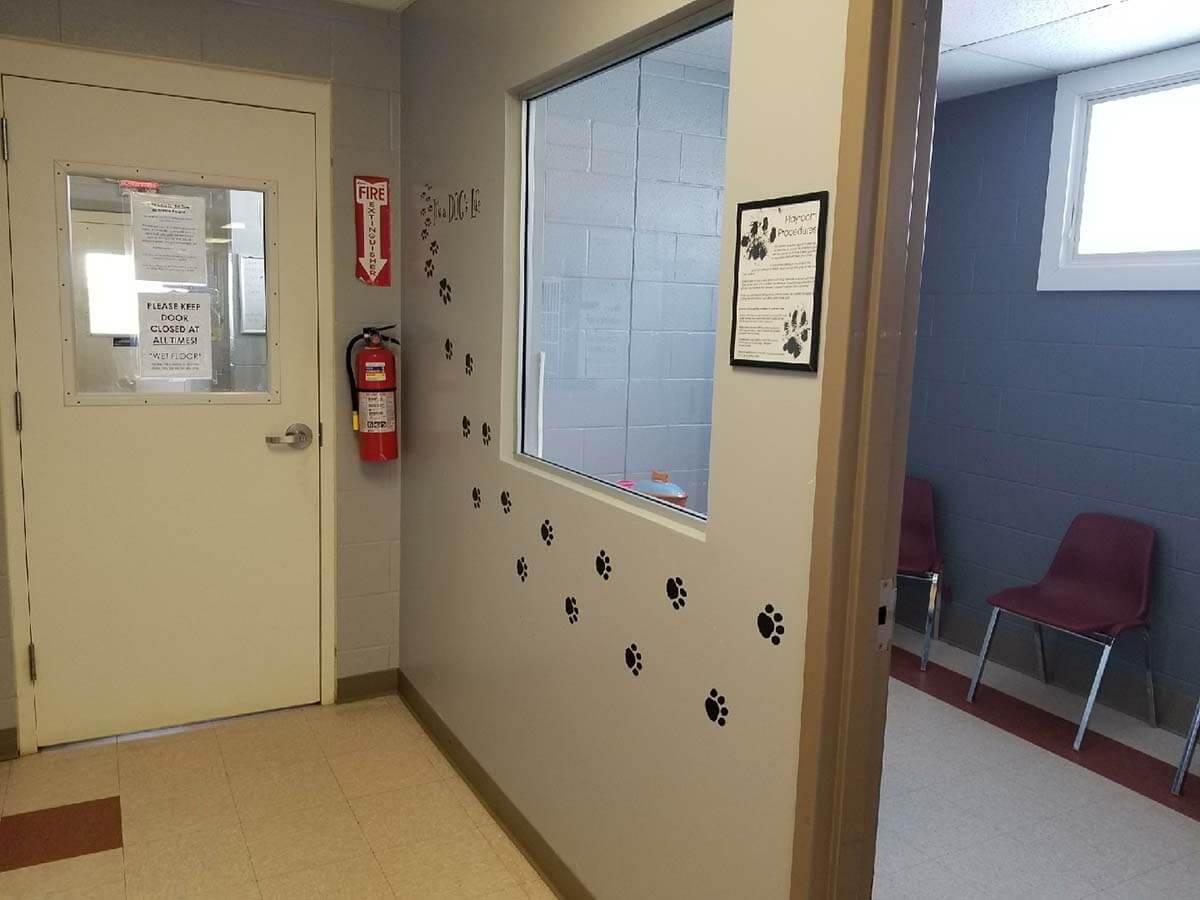 About Us - Humane Society