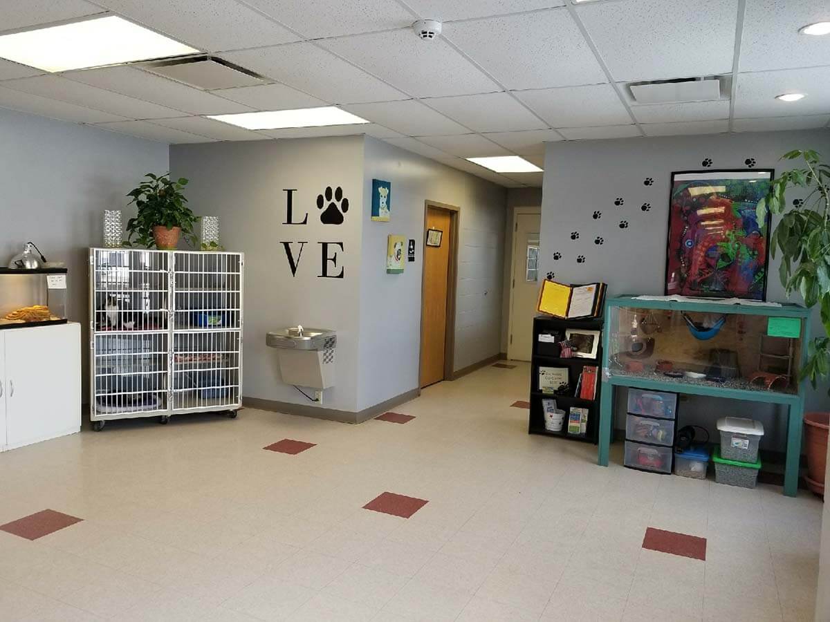 About Us - Humane Society